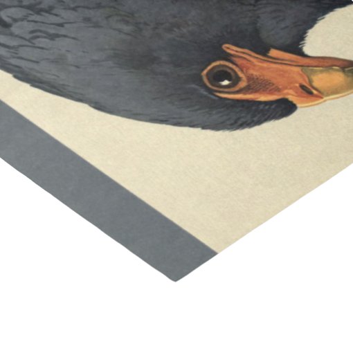 Bird Ephemera Decoupage Gray Eagle Tissue Paper | Zazzle