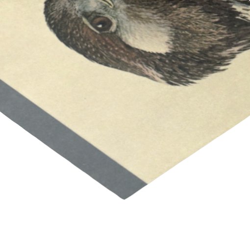 Bird Ephemera Decoupage Sea Eagle Tissue Paper | Zazzle