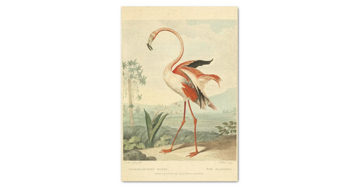 Bird Flamingo Ephemera Decoupage Tissue Paper | Zazzle