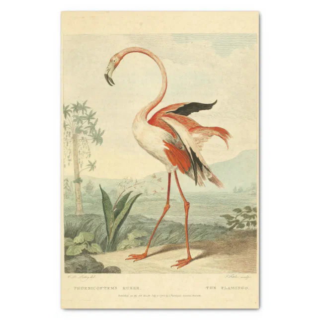 Bird Flamingo Ephemera Decoupage Tissue Paper | Zazzle