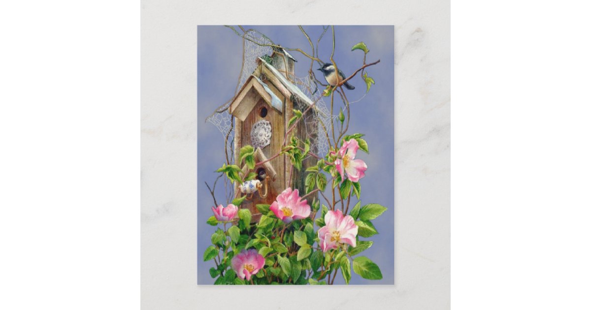 Bird House Postcard | Zazzle