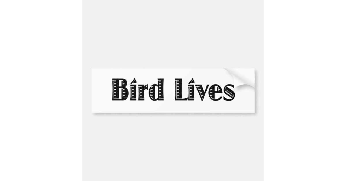 Bird Lives Bumper Sticker | Zazzle