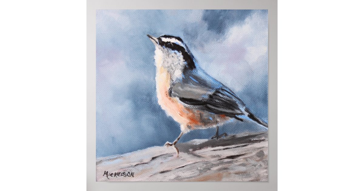 Bird Nuthatch Fine Art Print | Zazzle