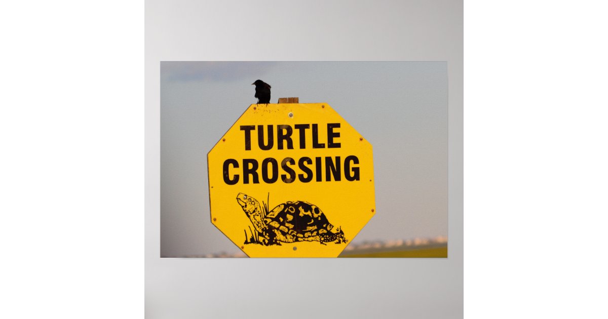 Bird on Turtle Crossing Sign Poster | Zazzle