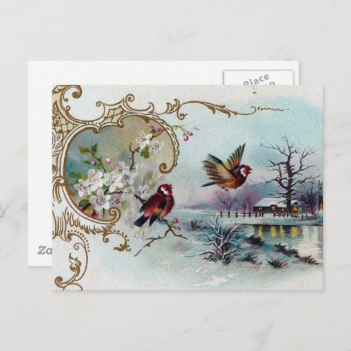 Bird Scene Postcard | Zazzle