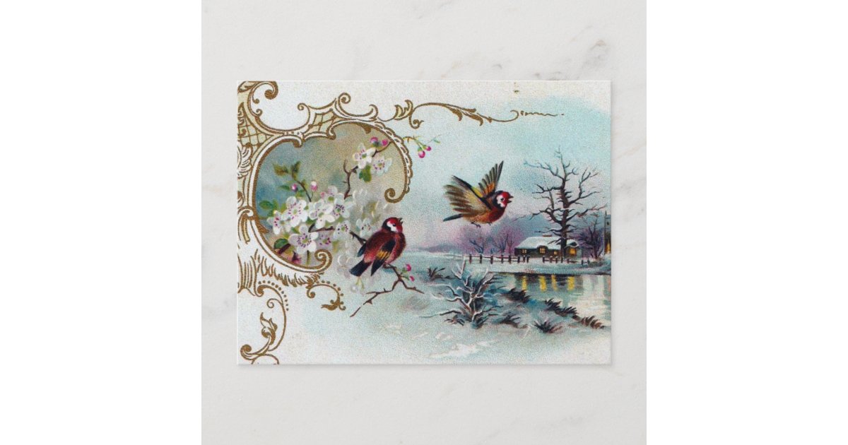 Bird Scene Postcard | Zazzle