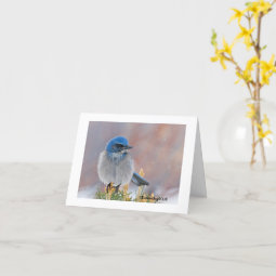 Bird Sympathy Card | Zazzle