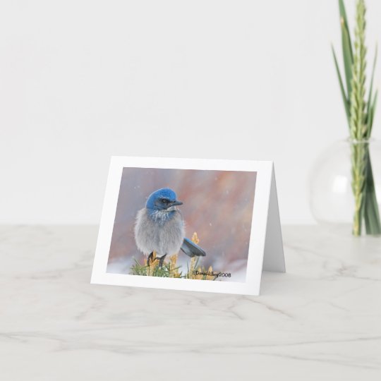 Bird Sympathy Card | Zazzle.com