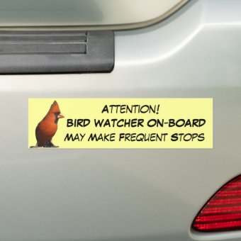 Bird Watcher Bumper Sticker | Zazzle