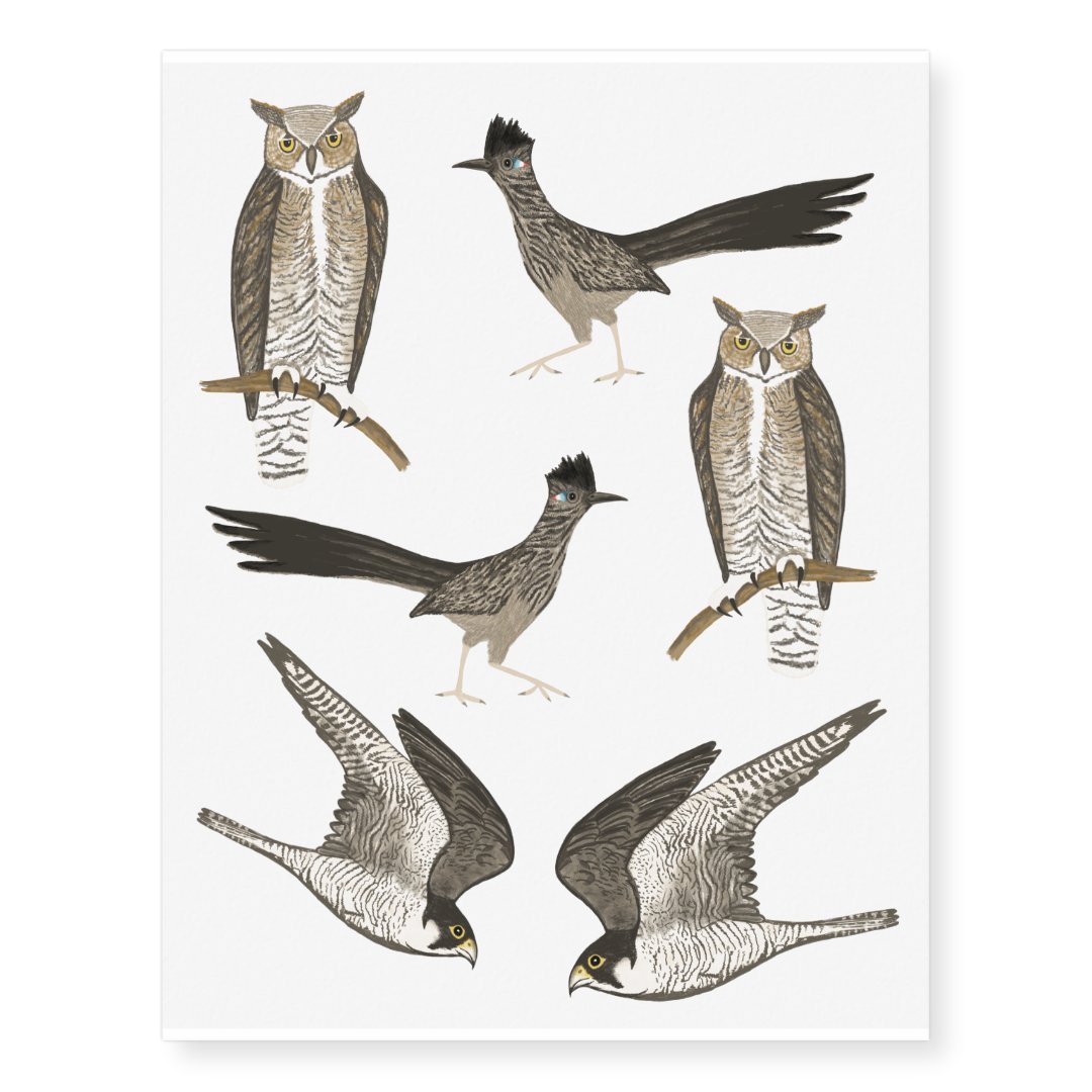 Bird Watchers Peregrine Falcon HornOwl Roadrunner Temporary Tattoos ...