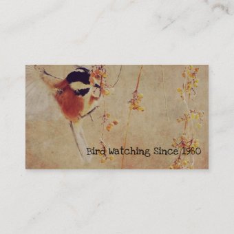 Bird Watching Business Card | Zazzle