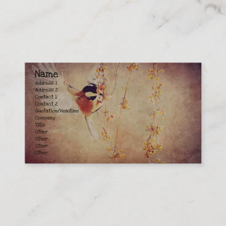Bird Watching Business Card | Zazzle