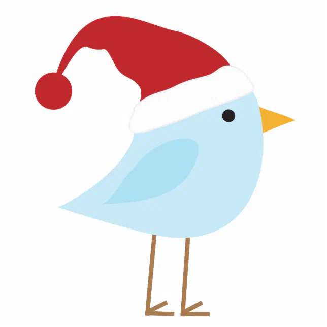 Bird with Santa Hat Christmas Ornament | Zazzle