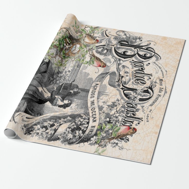 Birdie Darling Decoupage Poster Wrapping Paper | Zazzle
