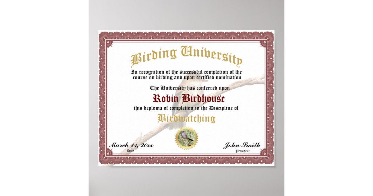Birding Completion Diploma Certificate Award Poster | Zazzle