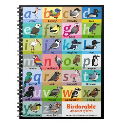 Cute Poster For Kids Featuring Cartoon Bird Alphabet