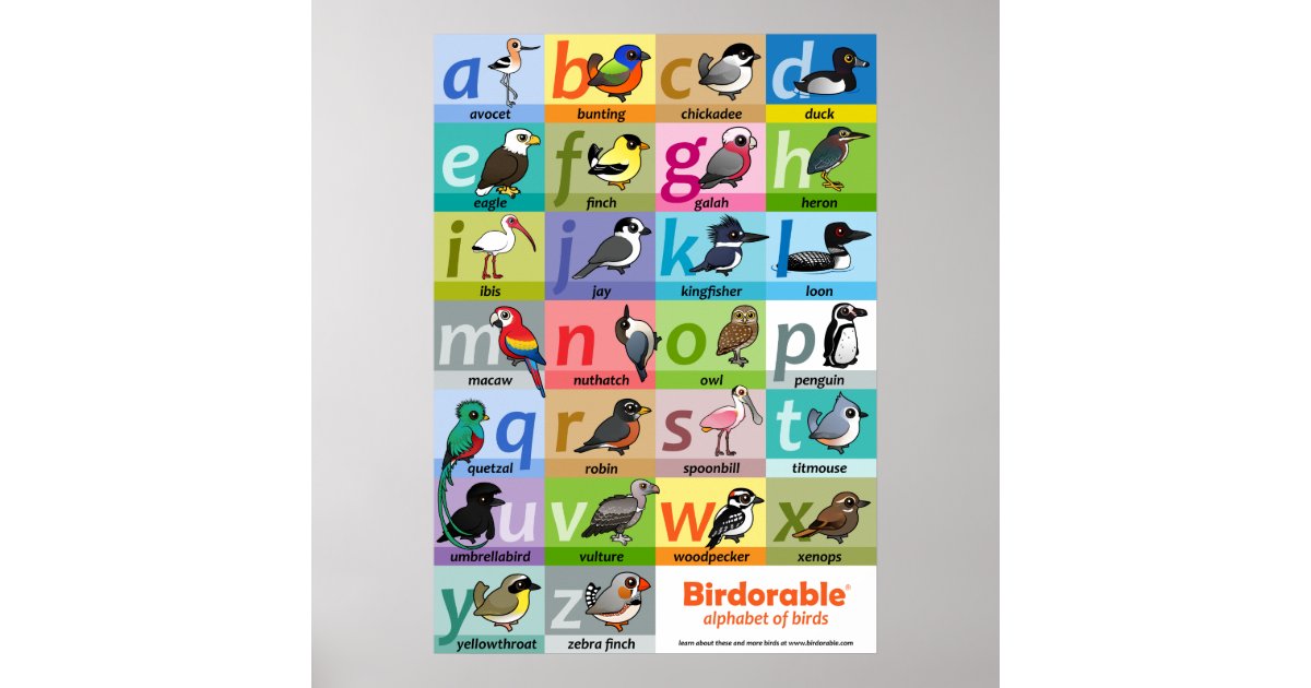 Birdorable Alphabet of Birds Poster | Zazzle