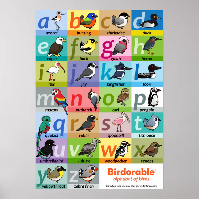 Birdorable Alphabet of Birds Poster | Zazzle