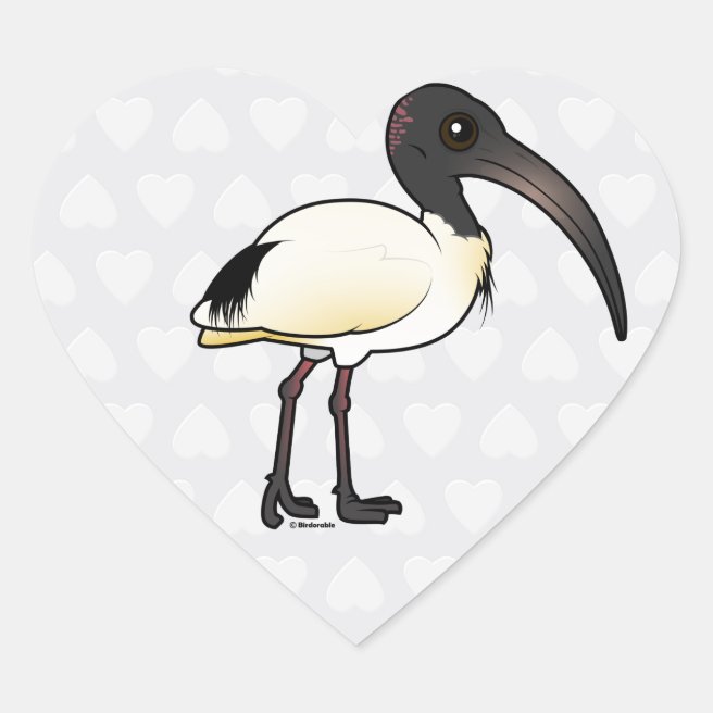 Cute Australian White Ibis | Birdorable Bonanza 2020