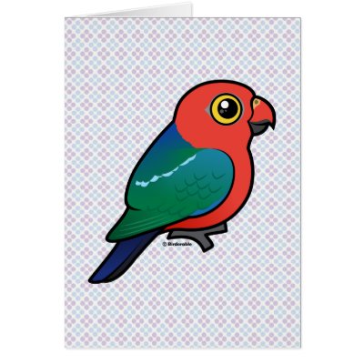 Cute Australian King Parrot