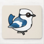 Read About the Azure Tit