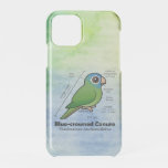 Cute Blue-crowned Conure by Birdorable