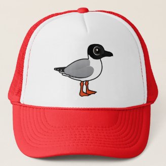 Cool Facts about Gulls: Frequently Asked Questions