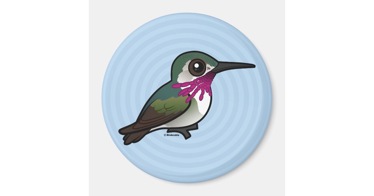 Birdorable Calliope Hummingbird Magnet | Zazzle