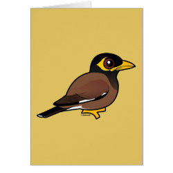 Common Myna Cute Cartoon Bird Shirts, Novelties, Gifts