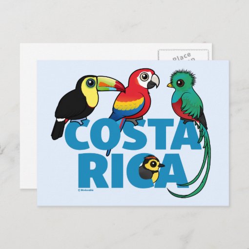 Birdorable Costa Rica Postcard | Zazzle