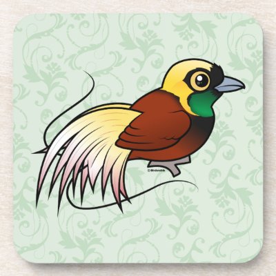 Cute Greater Bird-of-paradise