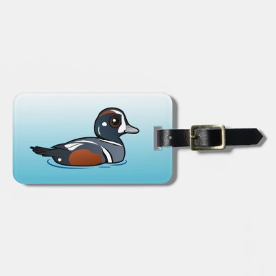 Read About the Harlequin Duck