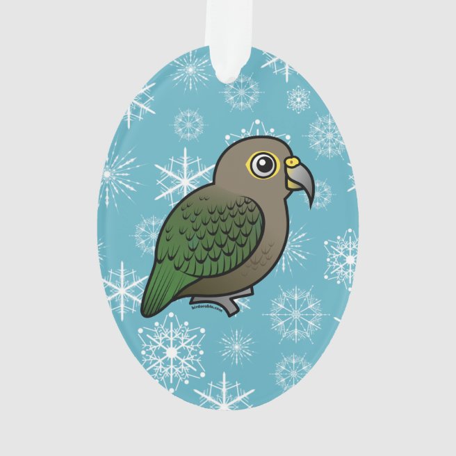 Kea, the Sheep-eating Parrot in Parrots