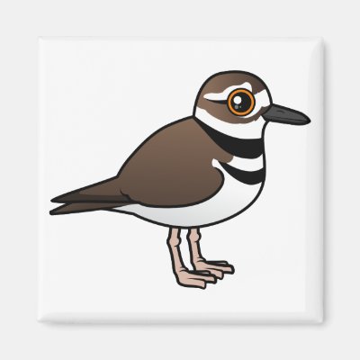 Killdeer - Birdorable Blog