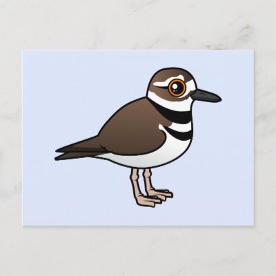 Killdeer - Birdorable Blog