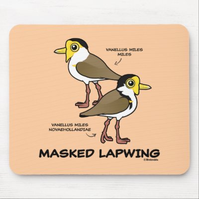 Buy Cute Masked Lapwing Subspecies Apparel and Gifts