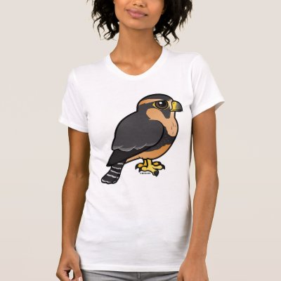 Cute Aplomado Falcon by Birdorable