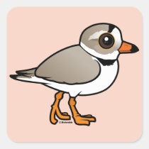 Piping Plover Coloring Page