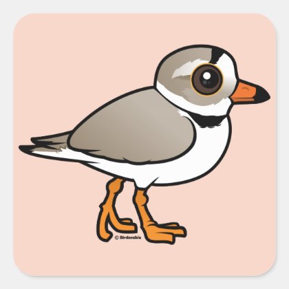 Piping Plover Coloring Page
