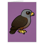Cute Ridgway's Hawk by Birdorable