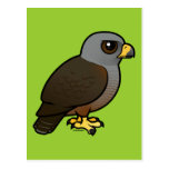 Cute Ridgway's Hawk by Birdorable