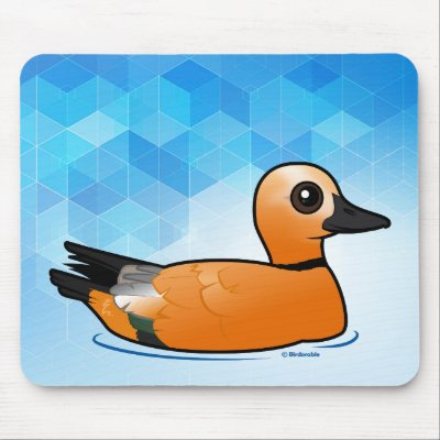 Meet the Birdorable Ruddy Shelduck Cute Cartoon Bird