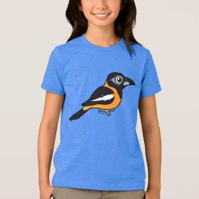 All About the Stunning Venezuelan Troupial | Birdorable Blog