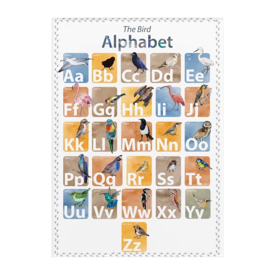 Birds alphabet acrylic print | Zazzle.com