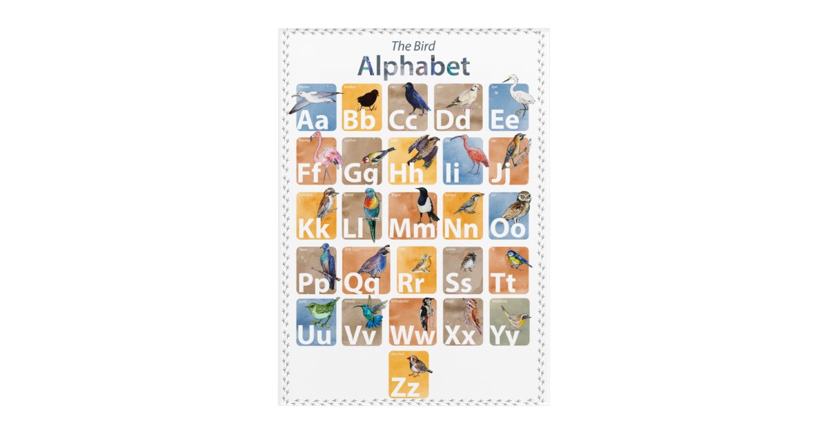 Birds alphabet acrylic print | Zazzle