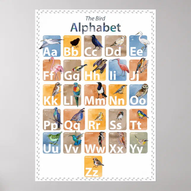 Birds alphabet poster | Zazzle