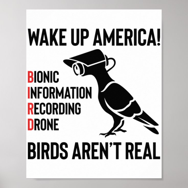 Birds Are Not Real - If It Flies, It Spies Poster | Zazzle