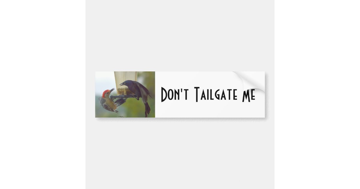 Birds Dont Tailgate Me Bumper Sticker | Zazzle
