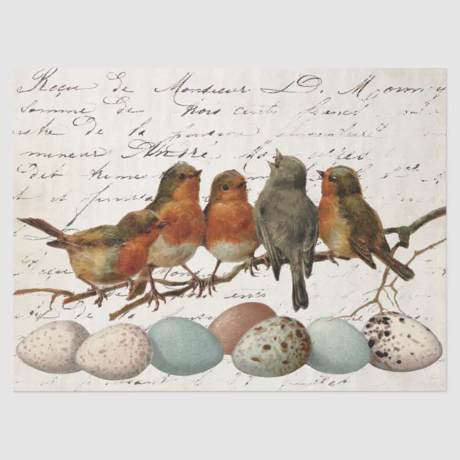 Birds Eggs Vintage European Robin French Decoupage Tissue Paper | Zazzle