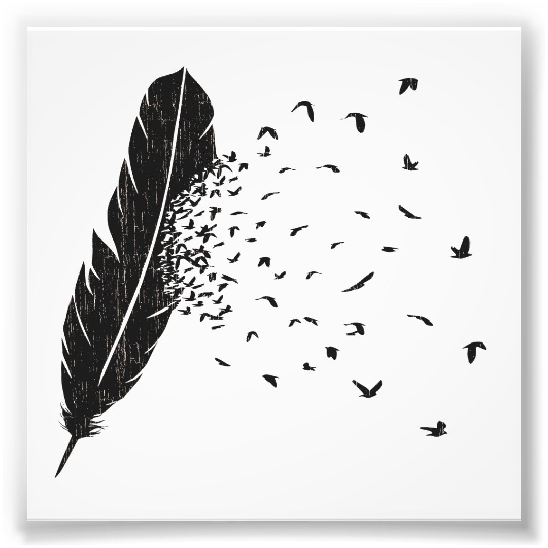 Birds Erupting of a Feather Photo Print | Zazzle